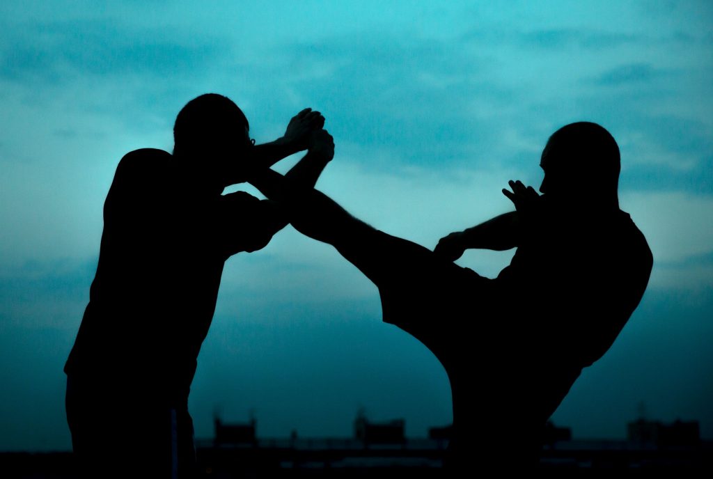 Advanced Kung Fu - Kung Fu Exercises for at Home - Kung Fu Living