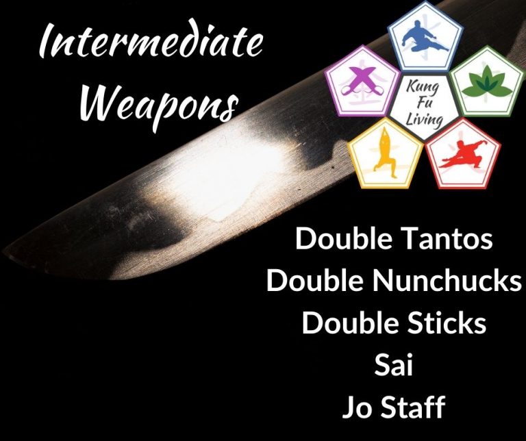 All 5 Intermediate Weapon Courses - Kung Fu Living