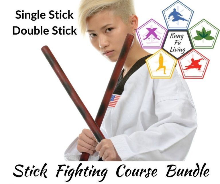 Escrima Sticks Course Bundle - Kung Fu Living