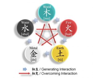 40 The Elements - Kung Fu Living